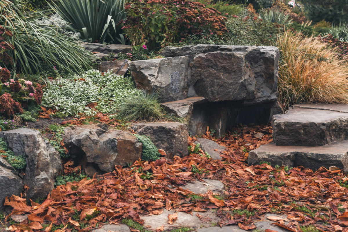 Landscape Boulders Guide: Enhance Your Yard With Decorative Boulders